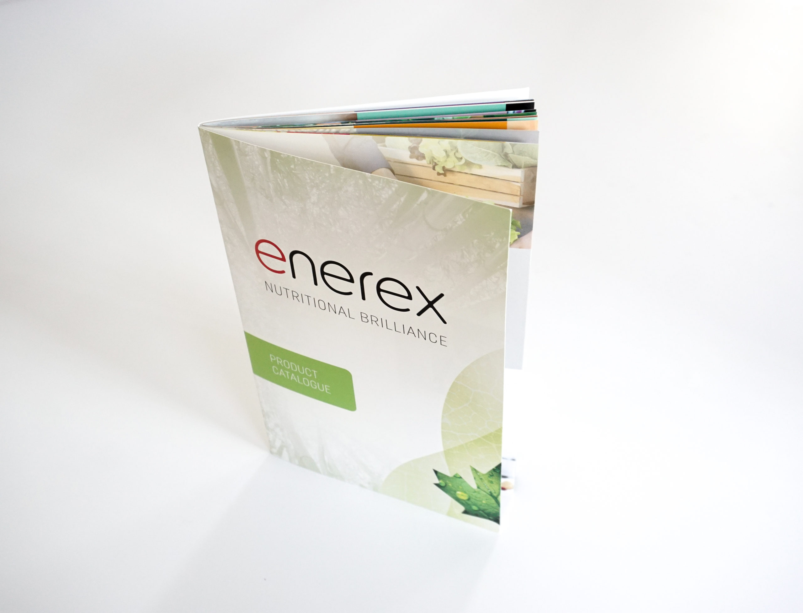 Enerex - Logic Group